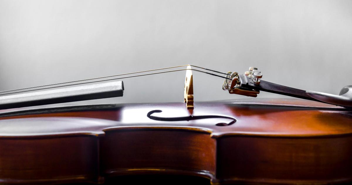 European Foundation for Support of Culture hosts Classical Music Academy