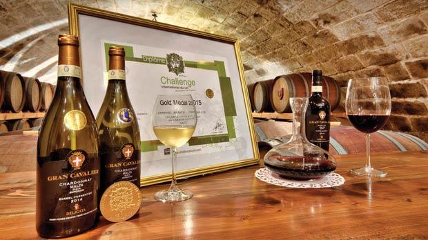 Delicata celebrating 100 awards