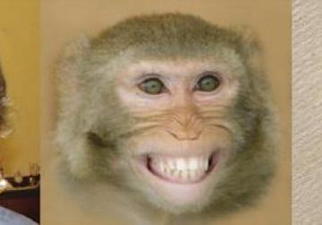 How do I smile with teeth without looking like a crazed chimpanzee? : r ...