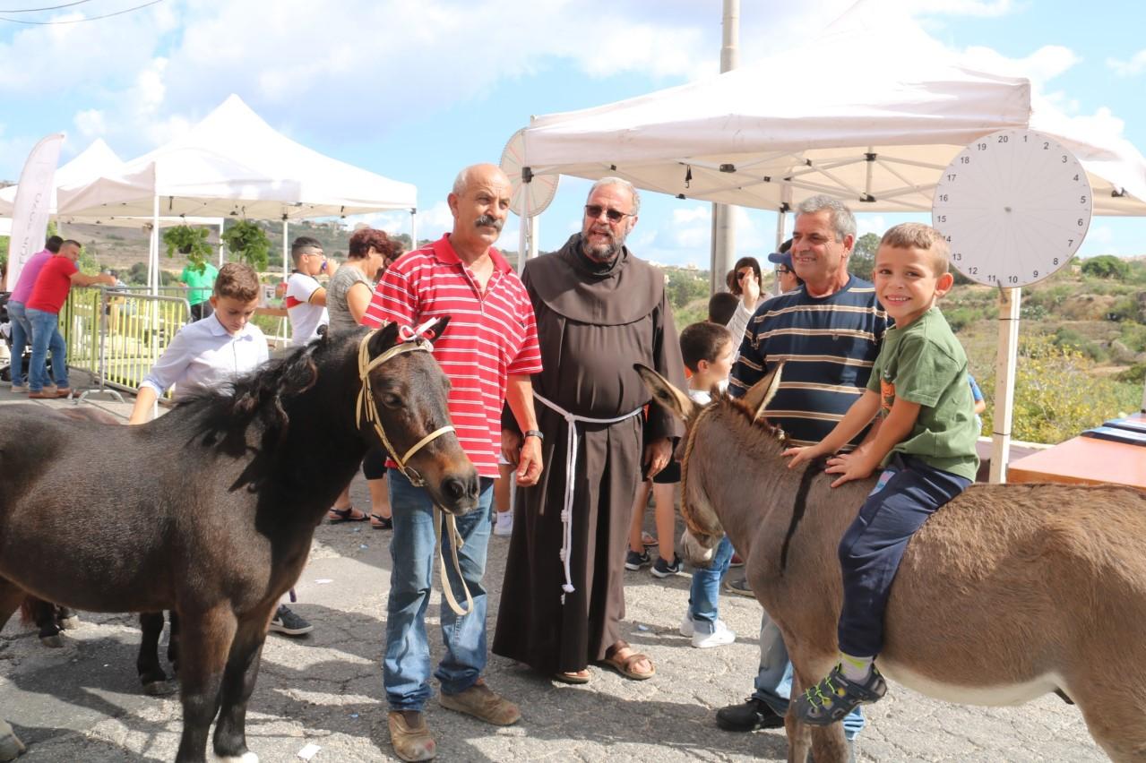 St Francis of Assisi feast marked by blessing of animals, pets