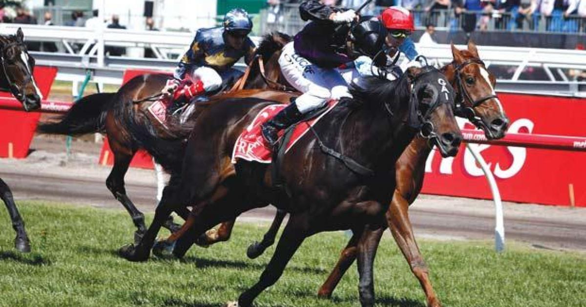 Fiorente wins Melbourne Cup