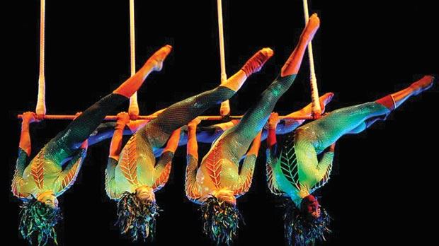 Circus humans