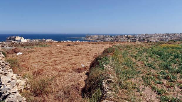 Muscat is sure university business model is sound