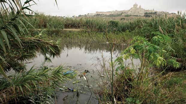 Stop pollution of irrigation water – farmers plead