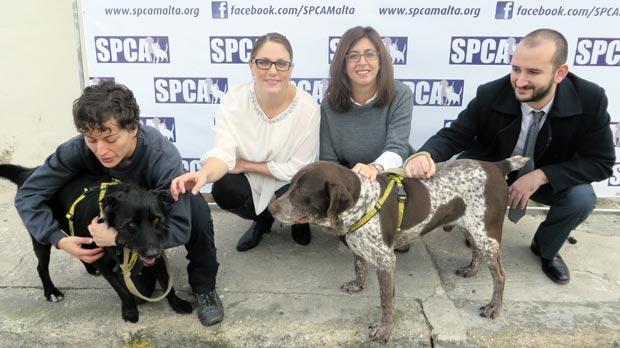 SPCA residents are helped by company