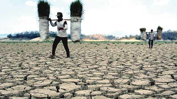 First proof that climate is a trigger for conflict – study